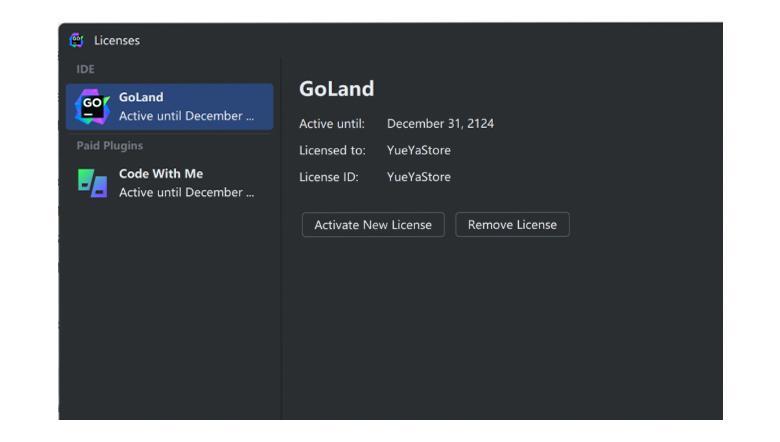 GoLand 2025安装教程（附安装包）GoLand 2025下载详细安装图文教程 - algorithmace - 博客园