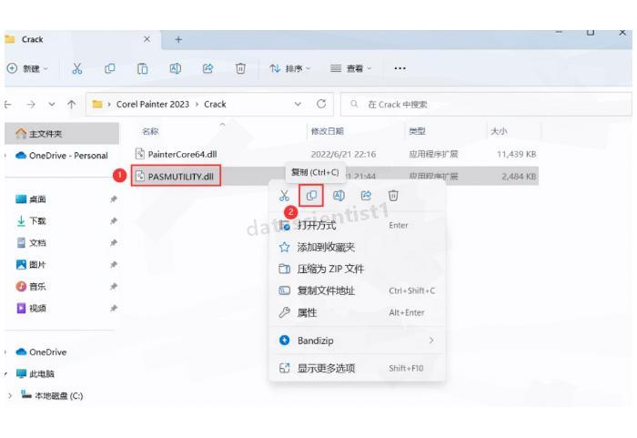 2025最新【Corel Painter】史上最全Corel Painter安装教程，图文教程（超详细) - datascientist - 博客园