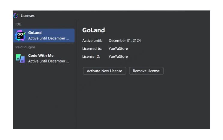 GoLand 2024 安装教程全网最新超详细图文教程包含下载、安装、汉化、授权（附安装包）【2025年】 - developerdream - 博客园