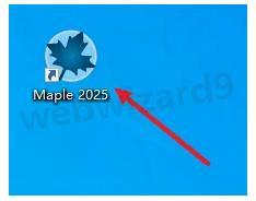 【2025】Maple 2025最新保姆级安装教程(附安装包+永久使用方法) - webwizard9 - 博客园