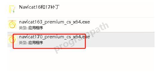 Navicat安装教程（附加安装包）Navicat详细安装教程Navicat免费版 最新版安装教程 - programpath - 博客园