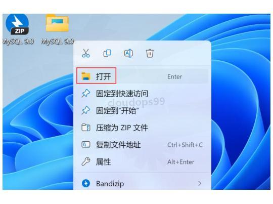 MySQL下载安装教程(附安装包)MySQL 9.0保姆级图文教程 - cloudops99 - 博客园
